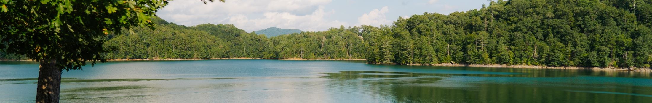 Solid Waste Enforcement | Cherokee County, NC